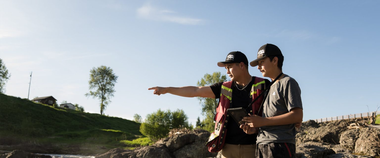 Declaration Act Action Plan - Declaration Act