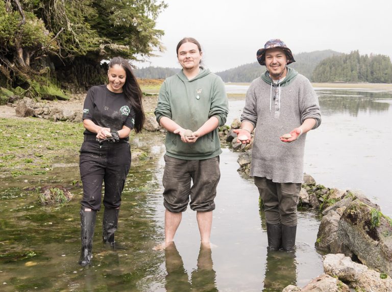 Home - Declaration Act