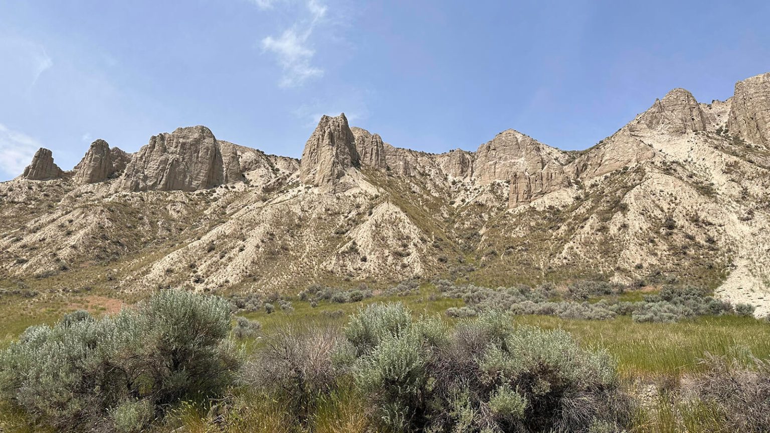 Declaration Act Action Plan - Declaration Act